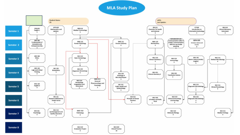 B MLA Flowchart | PDF