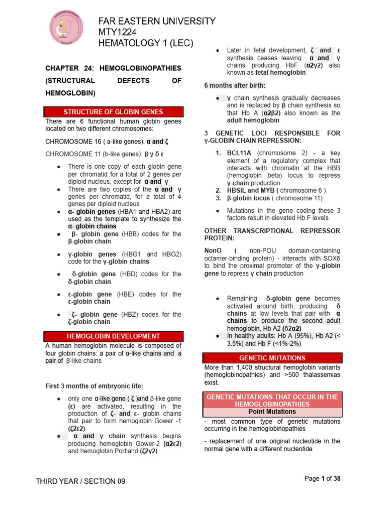 Chapter 24 Hemoglobinopathies Structural Defects of Hemoglobin Chapter ...