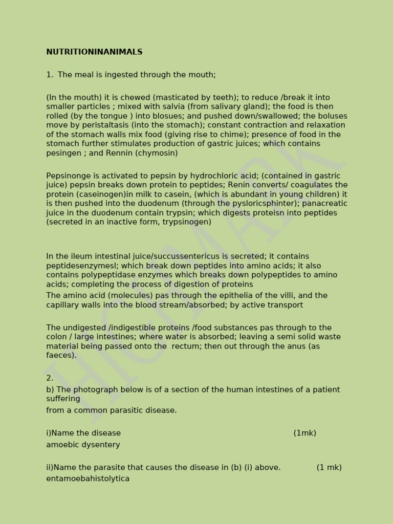 Nutrition in Animals A | PDF | Stomach | Digestion