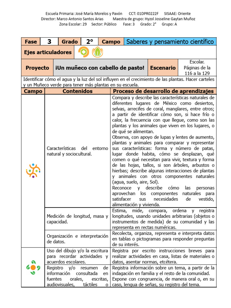 Proyecto Muñeco de Pasto Escolar | PDF | Pasto
