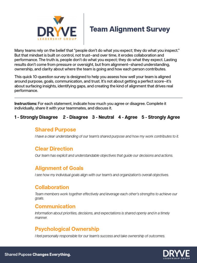 Team Alignment Survey for Performance Insights | PDF | Goal | Communication