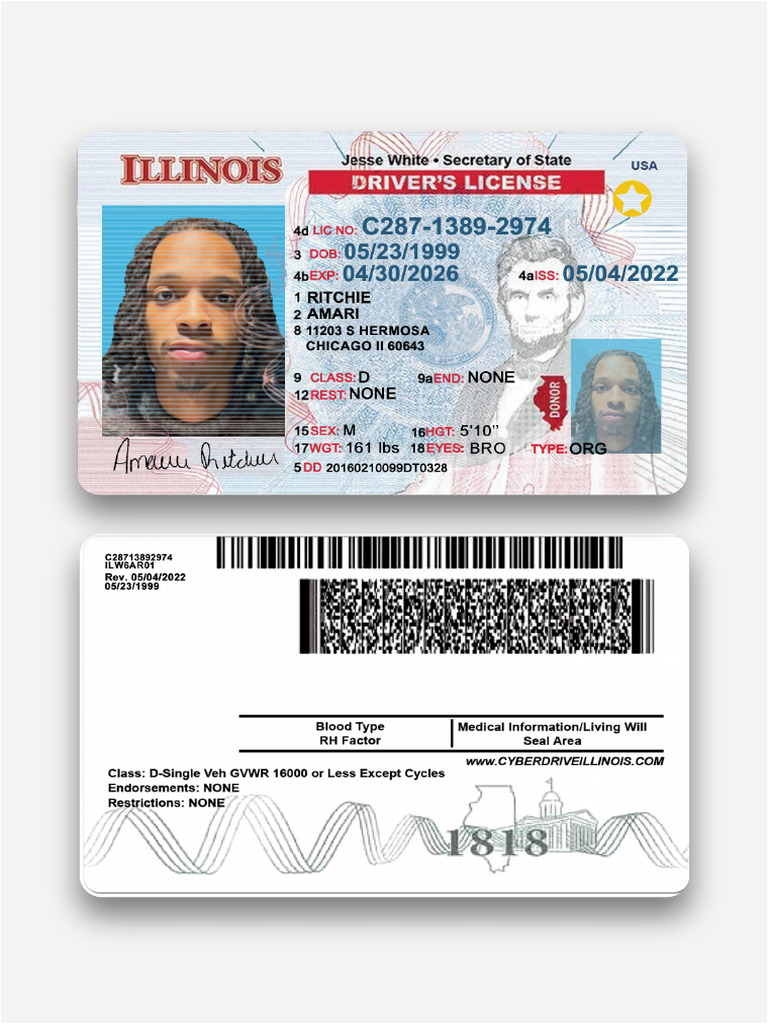 Illinois DL | PDF
