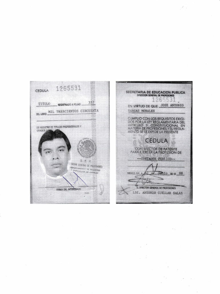 Cedula Contador | PDF | Administración Pública | Gobierno