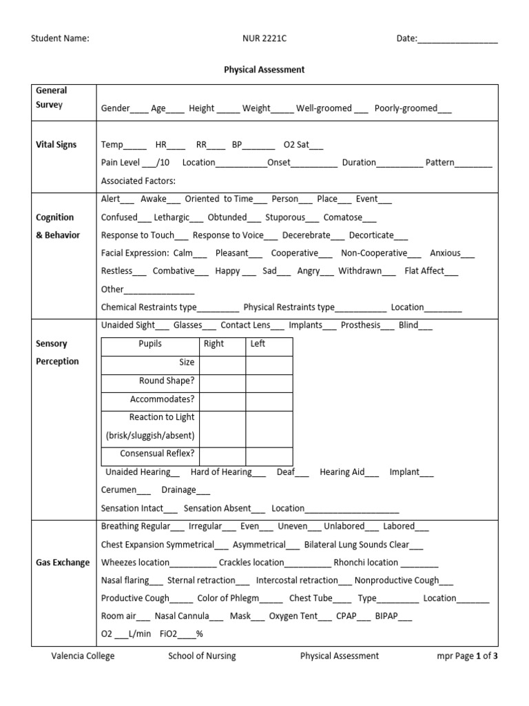 Physical Assessment Form | PDF | Senses | Perception