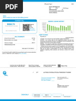 Snapping Shoals EMC Bill Payment Options | PDF | Credit Card | Cheque