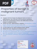 Endophytic vs Exophytic Tumors Explained | PDF