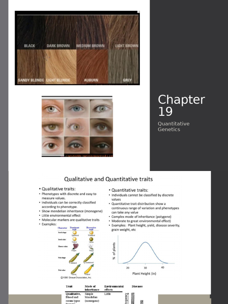 Ch. 19 Genetic Analysis of Quantitative Traits Spring 2025 | PDF | Heritability | Quantitative ...