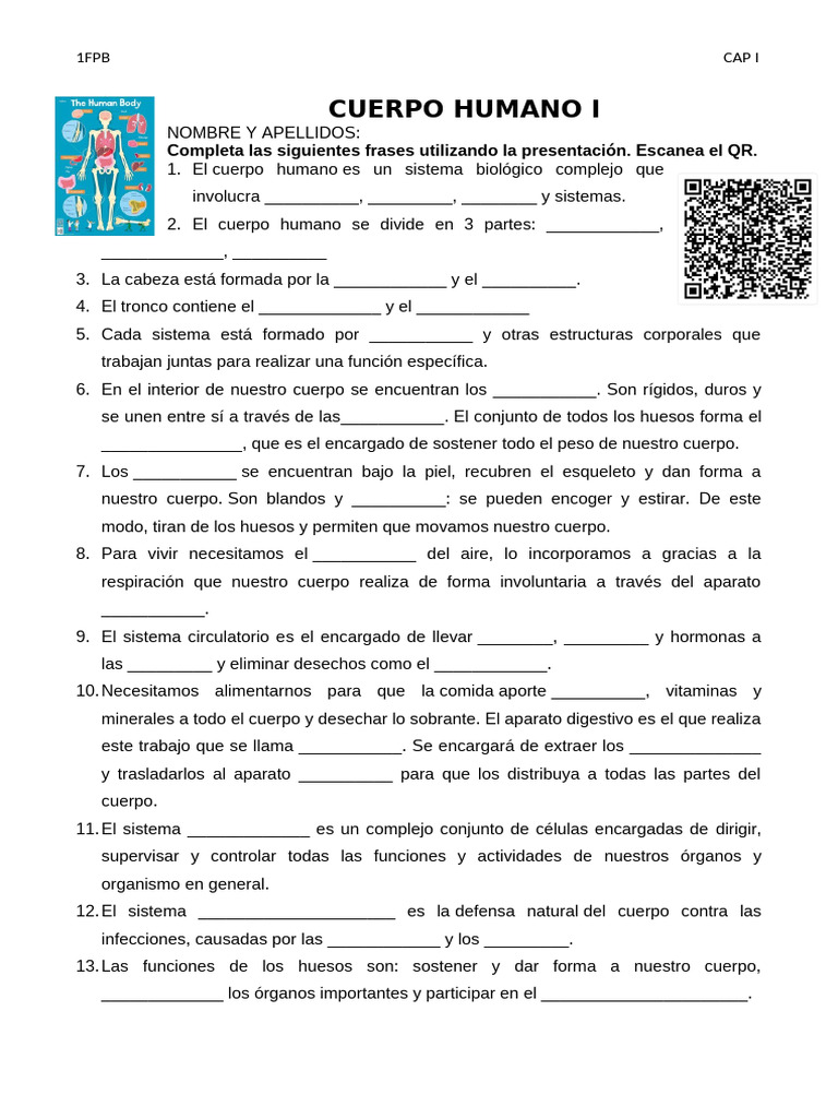 Repaso Cuerpo Humano | PDF | Hueso | Corazón