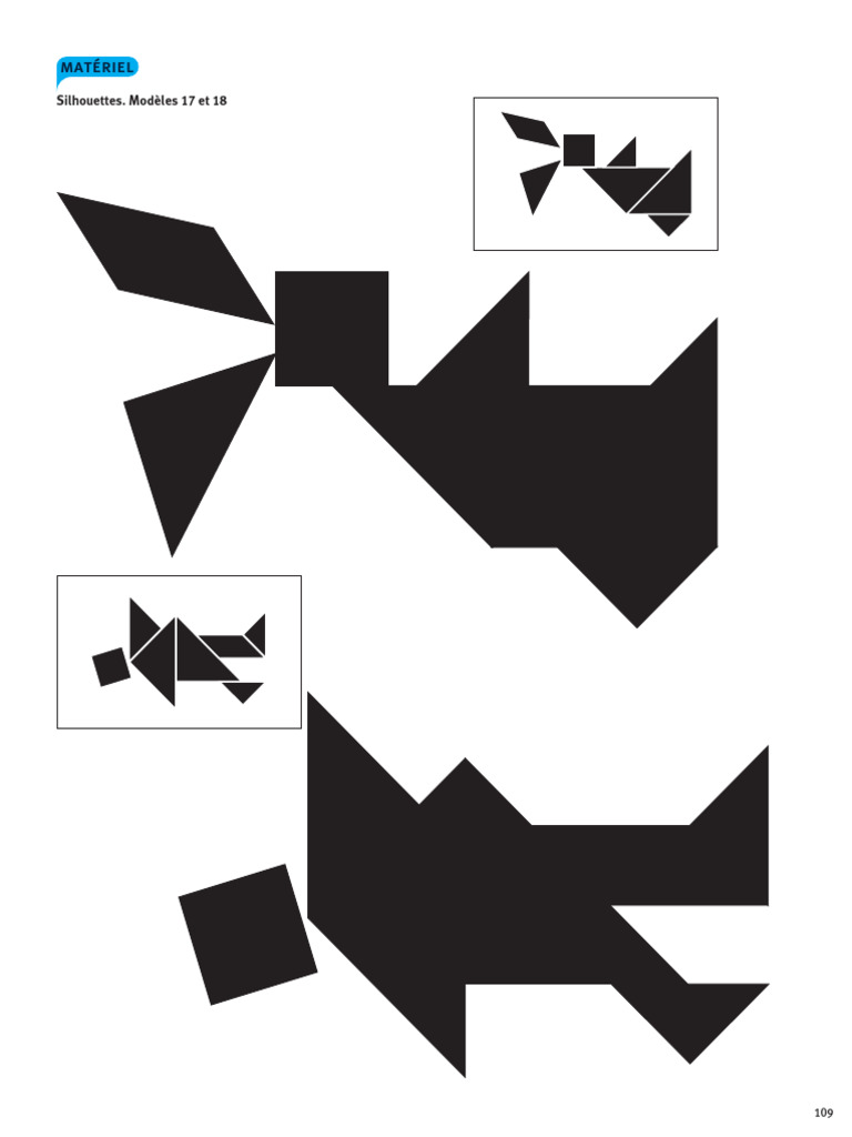 P109 Materiel | PDF