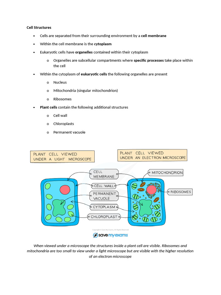 Cell Structures | PDF