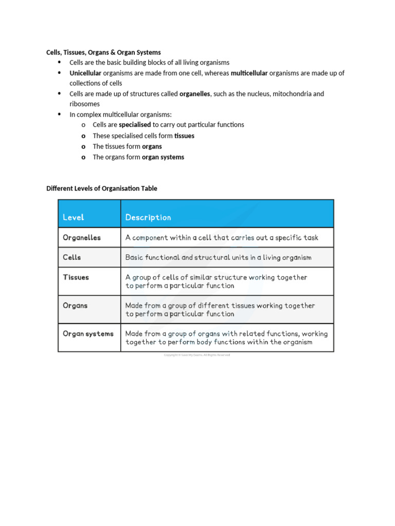 Cells, Tissues, Organs & Organ Systems | PDF