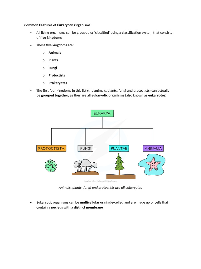 Common Features of Eukaryotic Life | PDF | Cell (Biology) | Eukaryotes