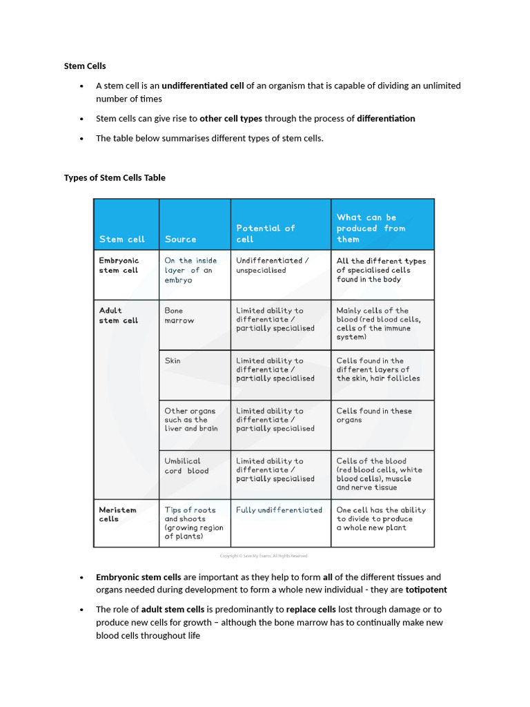 Stem Cells | PDF | Stem Cell | Embryonic Stem Cell