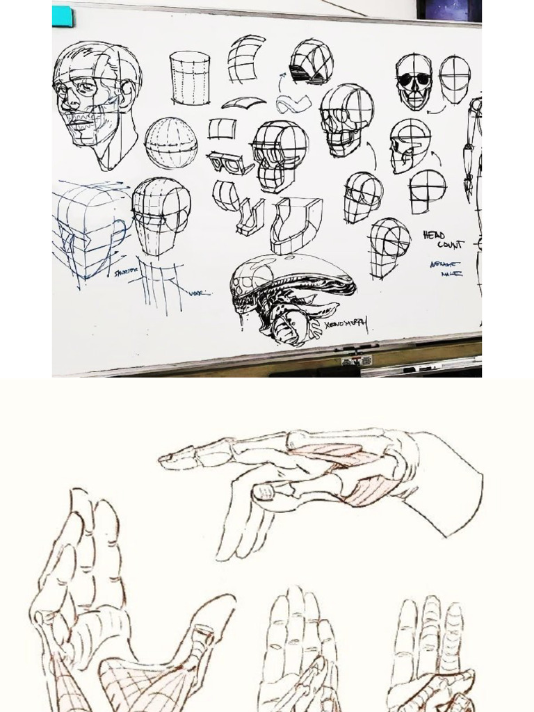 Head Drawing for Beginners | PDF