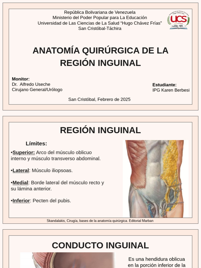 Anatomía de la Región Inguinal Femenina | PDF | Abdomen | Cirugía