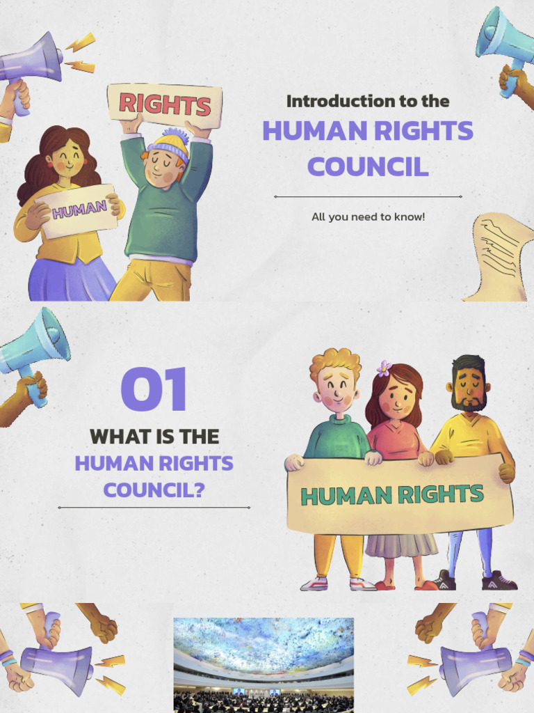 Overview of the Human Rights Council | PDF
