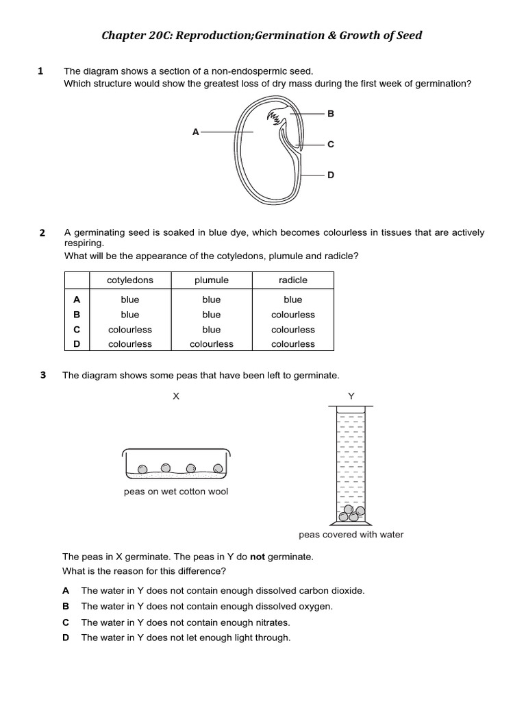 20C Reproduction_Germination & Growth of Seed | PDF | Seed | Germination