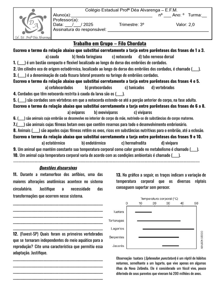 Respostas sobre o Filo Chordata | PDF | Vertebrados | Réptil