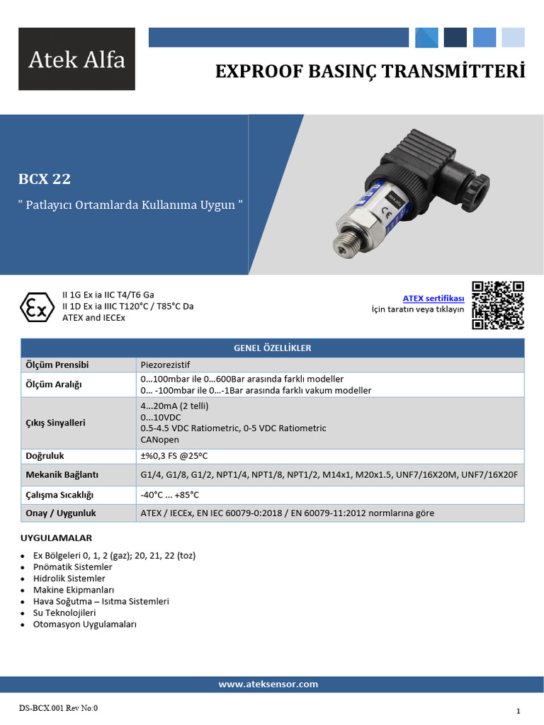 Ds BCX 001 BCX 22 Datasheet TR | PDF