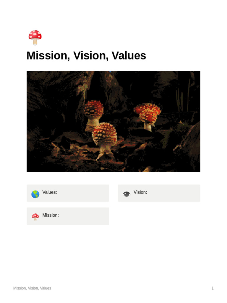 Mission Vision Values | PDF