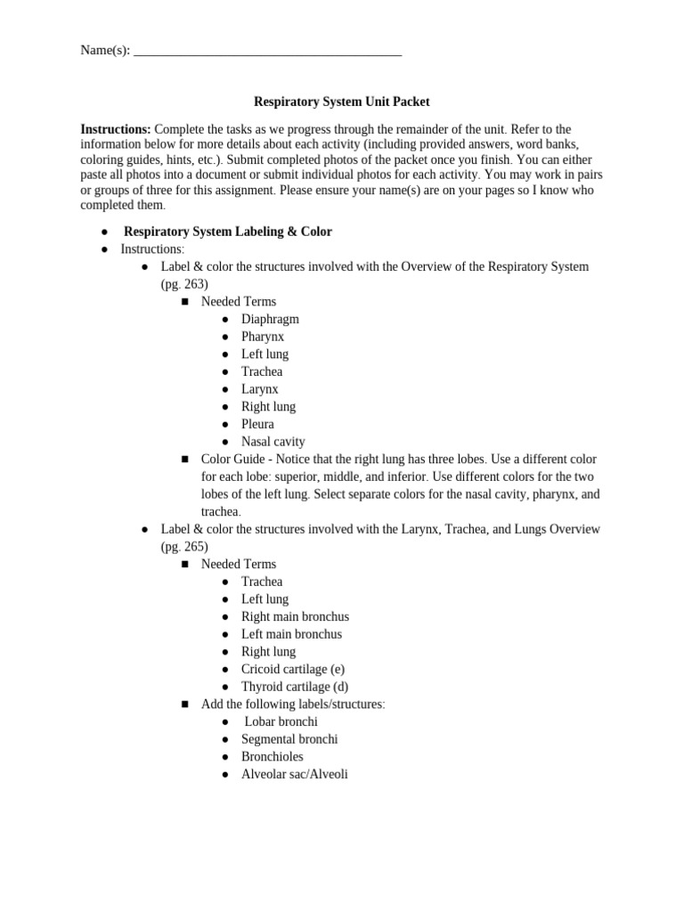 Respiratory System Unit Packet | PDF | Respiratory Tract | Lung