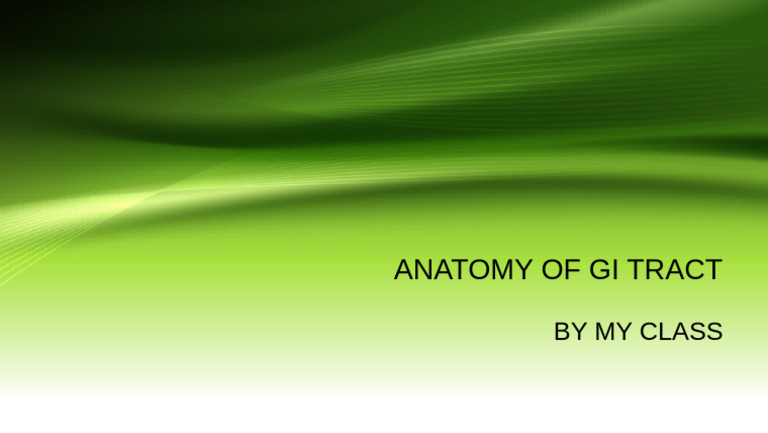 Anatomy of Gi Tract | PDF