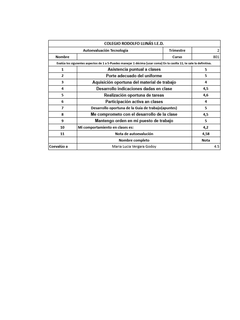 Formato de Autoevaluaci-n | PDF