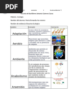 Ejemplos de Palabras Con El Prefijo Bio | PDF | Tierra | Biología