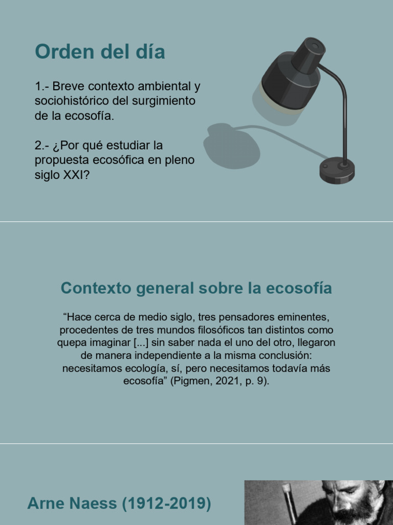Ecosofía: Respuesta a la Crisis Ambiental | PDF | Contaminación ...