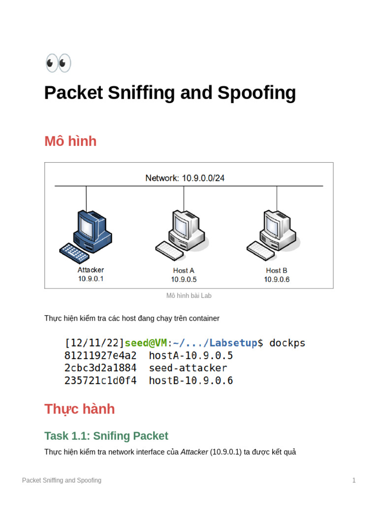 Packet Sniffing and Spoofing | PDF