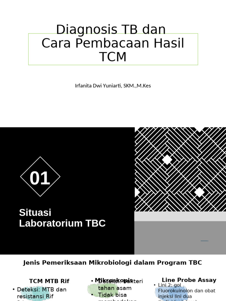 Panduan Diagnosis dan Hasil TCM TB | PDF