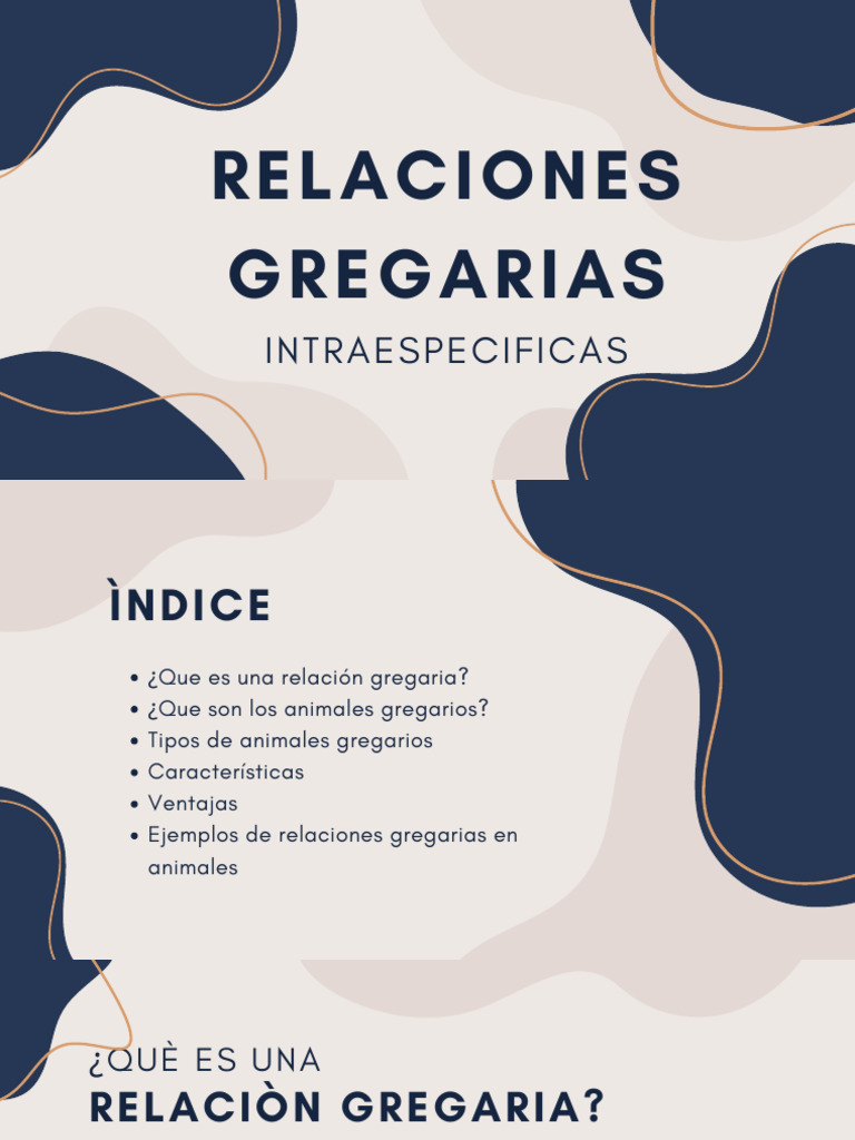 Relaciones Gregarias en Animales | PDF | Hormiga | Abejas