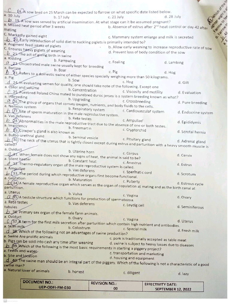 Sample Corrected Test Questions Midterm and Final | PDF