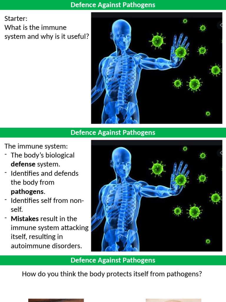 Defence Against Disease | PDF | Immune System | White Blood Cell