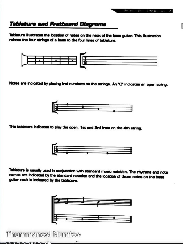 Bass Guitar Lesson 1 | PDF