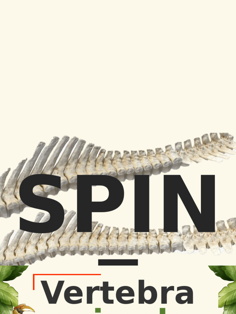 Vertebrate Animals Part 1 | PDF | Amphibian | Reptile