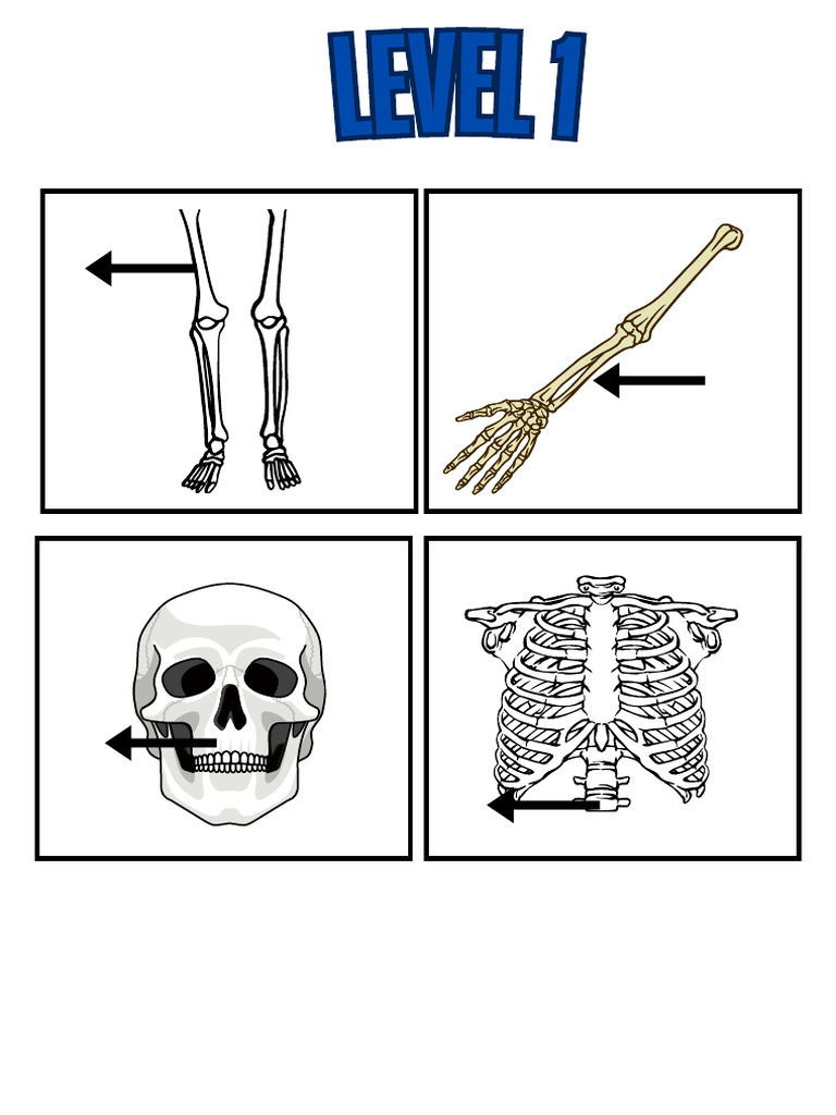 Coc Versi Rangka Manusia | PDF