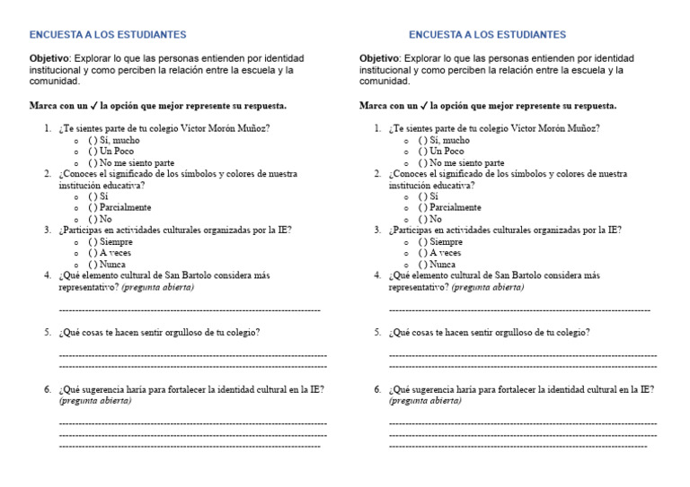 Encuesta sobre Identidad Institucional | PDF