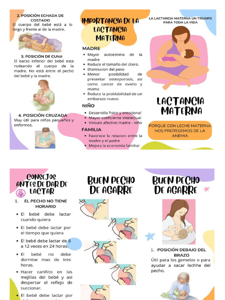 Tripticos Internas | PDF