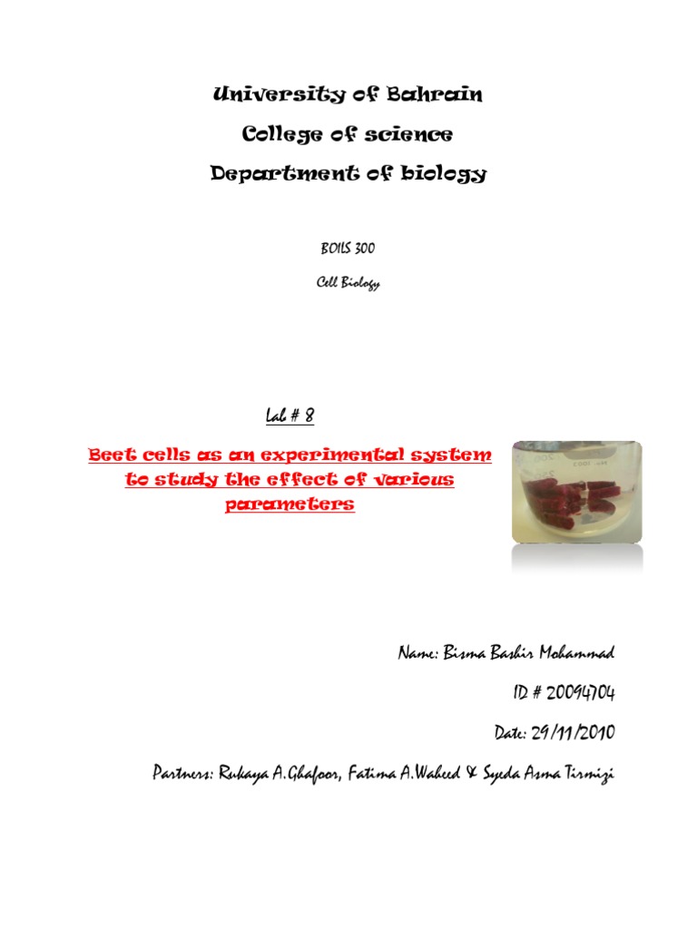 Beet Root Cells | PDF | Cell Membrane | Osmosis