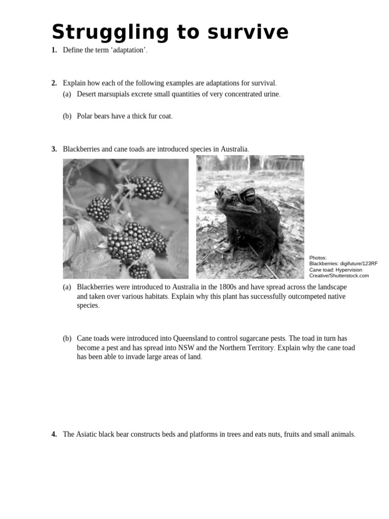 Survival Adaptations in Animals and Plants | PDF