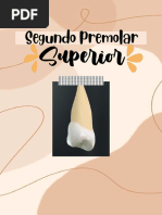 Segundo Molar Inferior | PDF | Ramas de Odontología | Boca