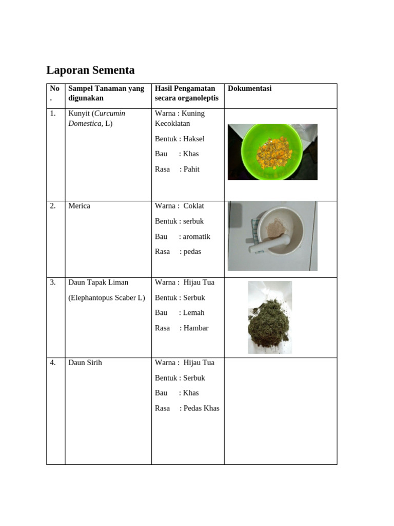 Laporan Sementara Simplisia | PDF