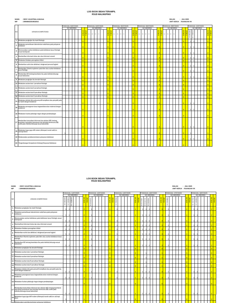 Logbook Desy Juli 2025 | PDF