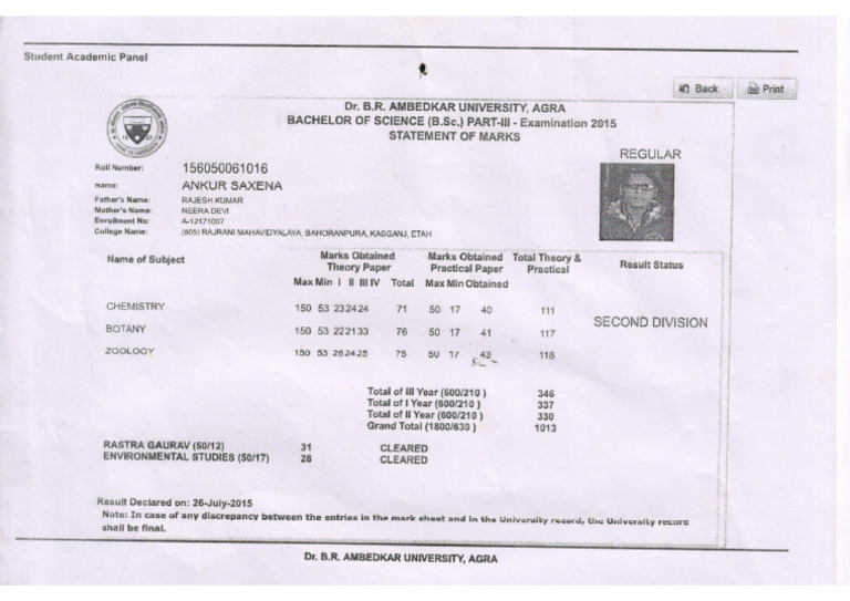 B.SC Marksheet | PDF