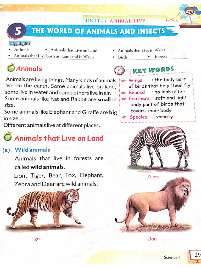 Class 1 Science L5 | PDF