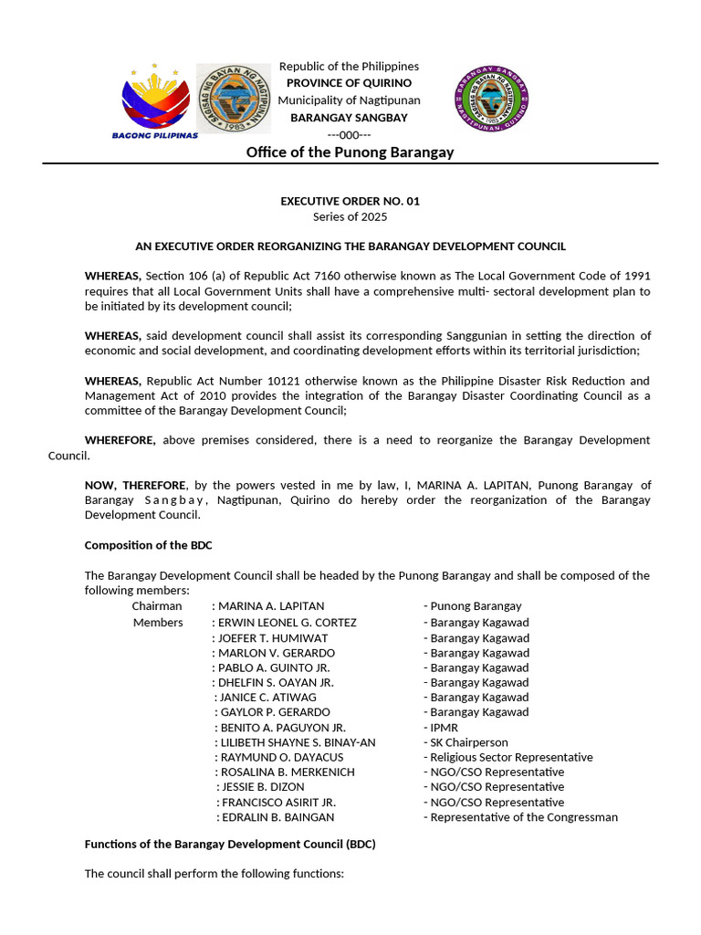 BARANGAY DISASTER RISK REDUCTION AND MANAGEMENT PLAN AND BUDGET | PDF ...