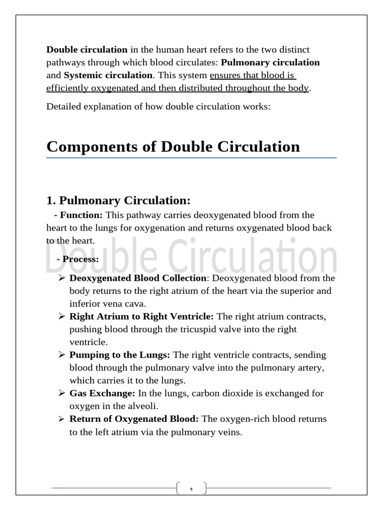 Double Circulation in the Human Heart | PDF | Circulatory System ...