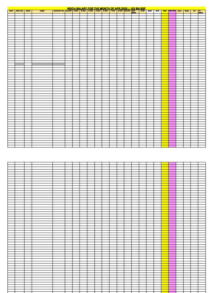 Ngos Salary For The Month of April 2025@ | PDF