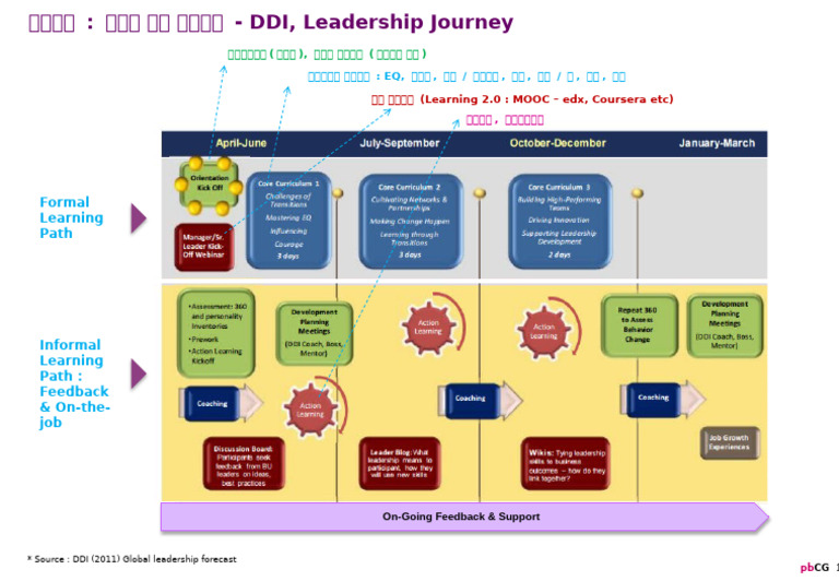 DDI Approach - Leadership Journey | PDF